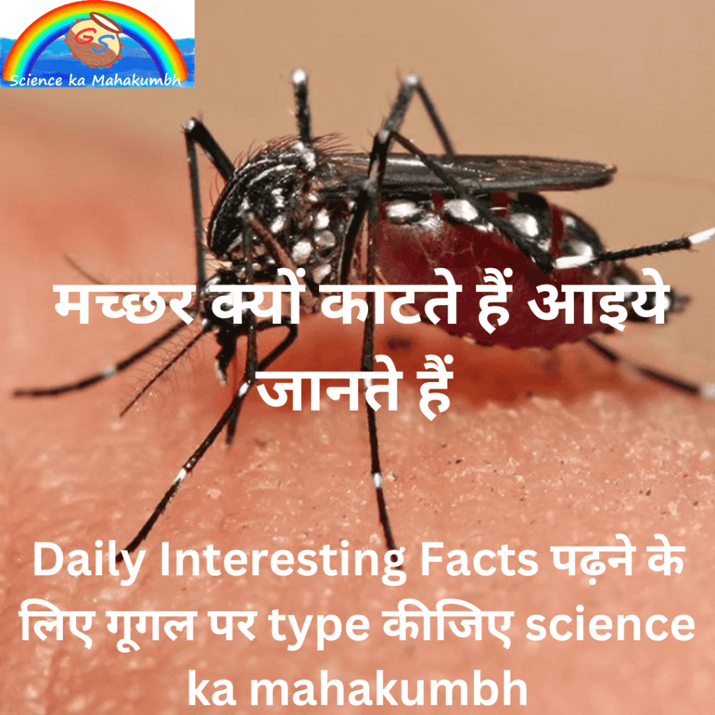 मच्छर क्यों काटते हैं | Why do Mosquitoes bite